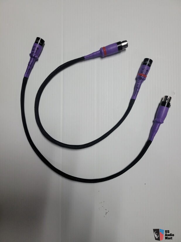 Amadi Cables. Maddie signature 2ft xlr Photo #4256407 - US Audio Mart