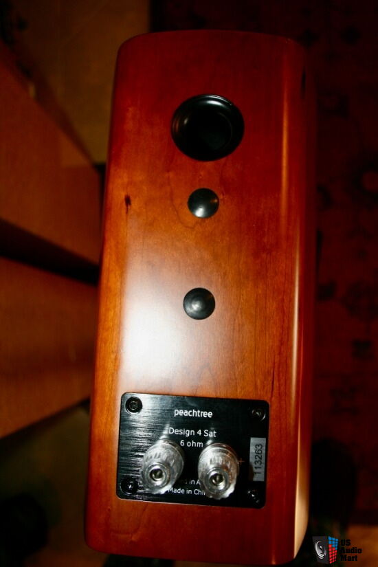 Peachtree/ERA Design 4 speakers Photo #4259377 - US Audio Mart