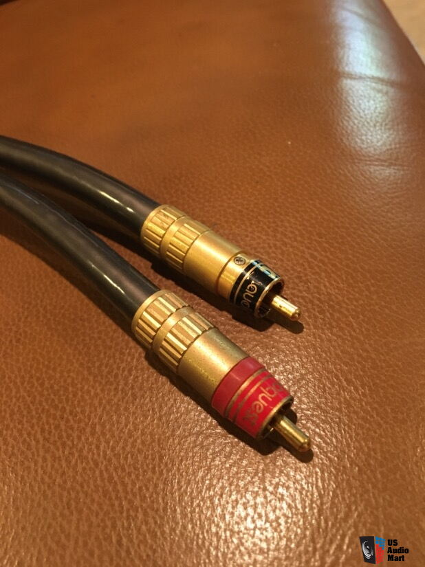 Audioquest Dragon Interconnect .5M RCA's Photo #4266193 - US Audio Mart