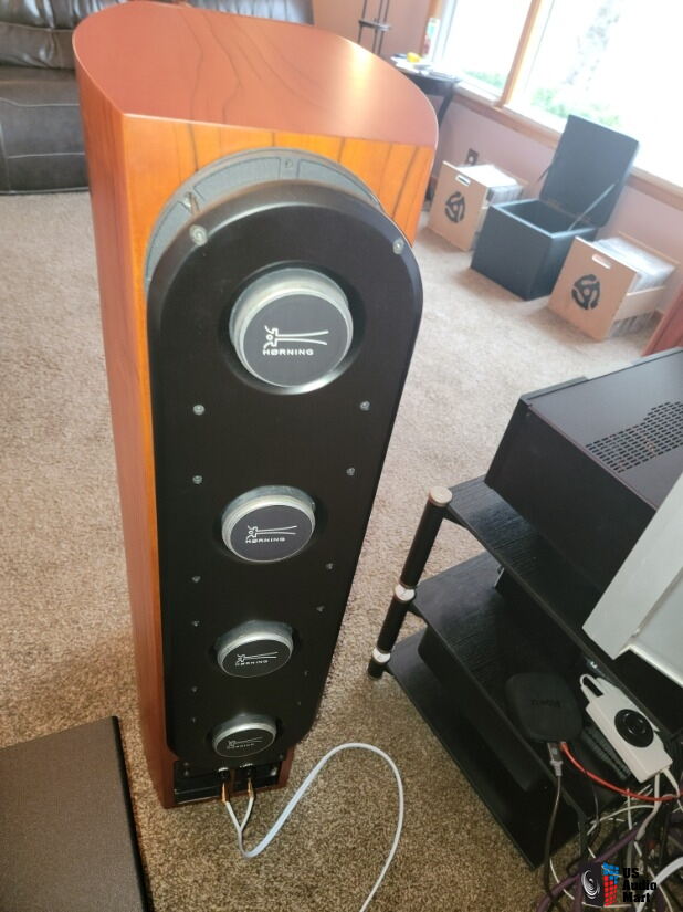 Horning Hybrid Eufrodite PM65 Ellipse Photo #4270225 - US Audio Mart