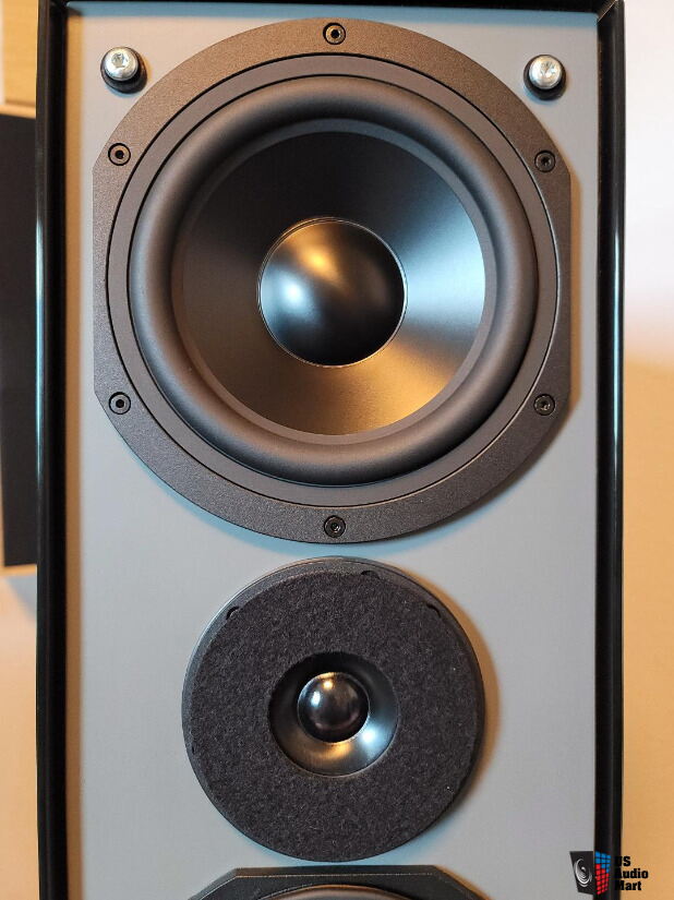 Audio Physic Codex 2 (2022 version) Photo #4271475 - US Audio Mart