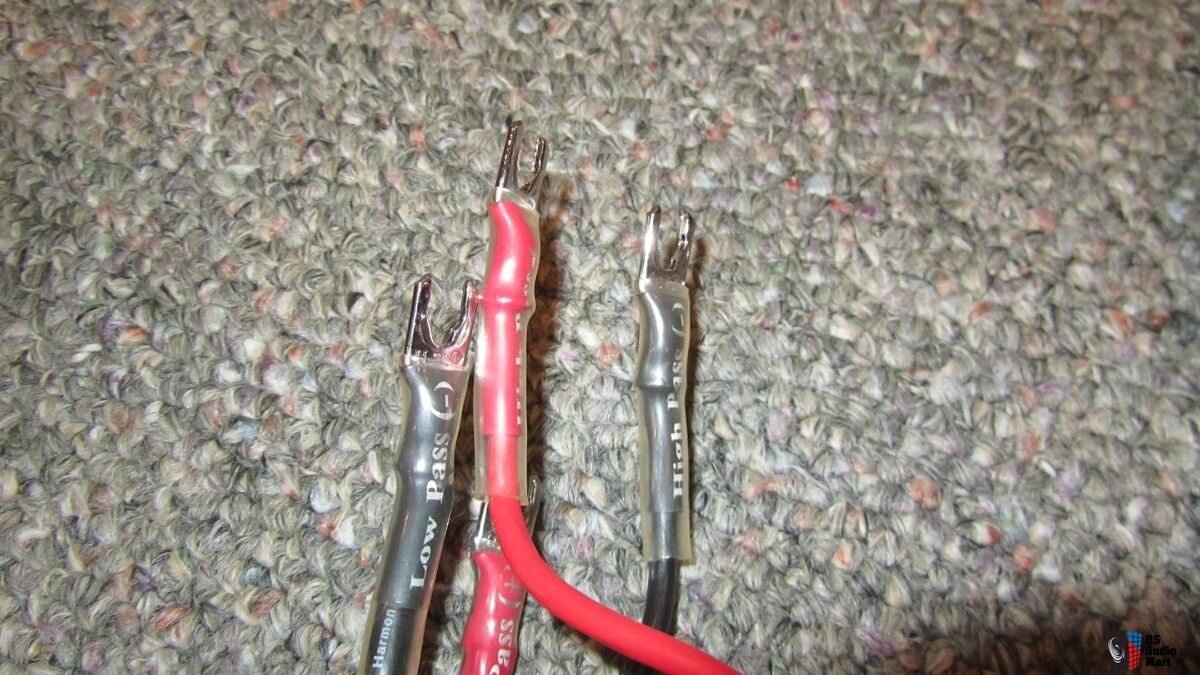 Harmonic Technology Pro-9+ Internal Bi-Wire Speaker Cable 10' Pair w ...