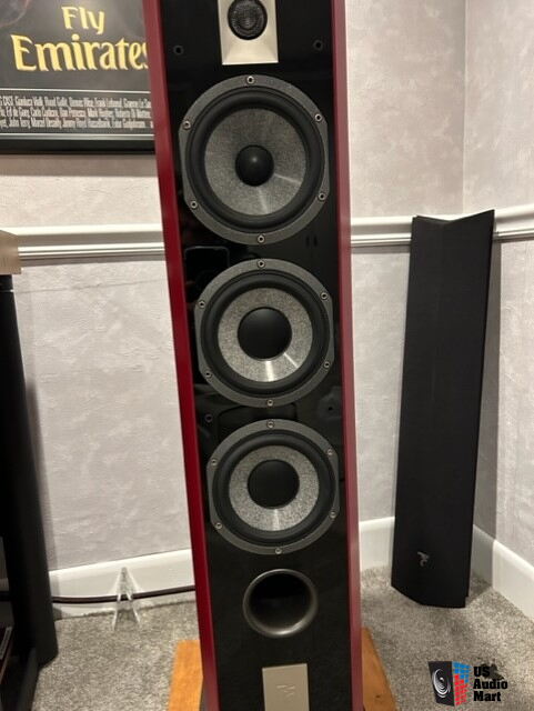 Focal Chorus 826w - 30th Anniversary Edition Photo #4279672 - US Audio Mart