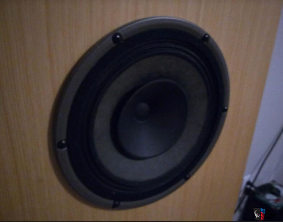 Omega Max Hemp floor standers in maple finish Photo #4282725 - US Audio ...
