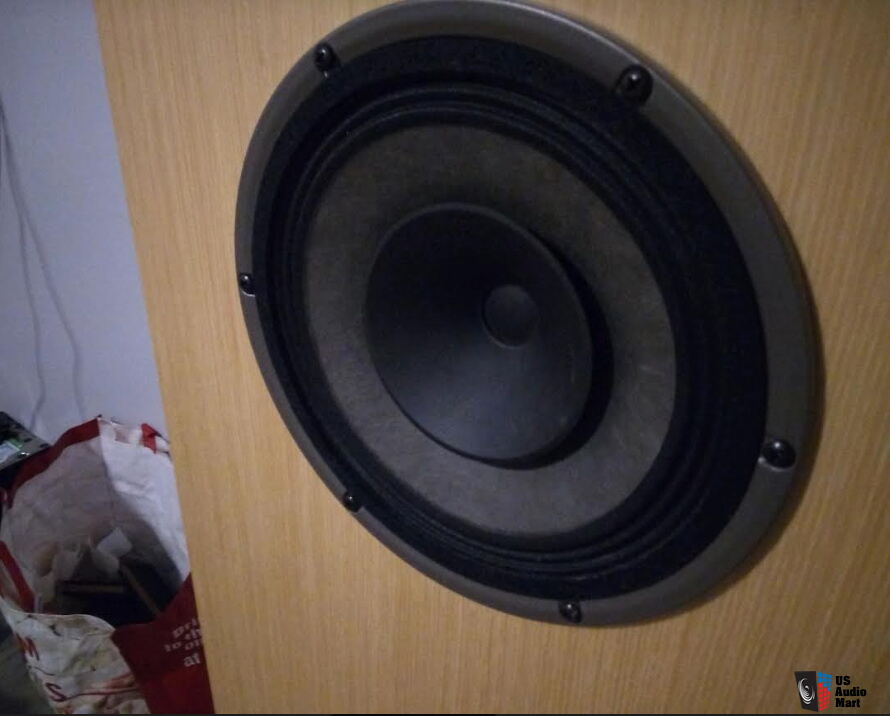 Omega Max Hemp floor standers in maple finish Photo #4282726 - US Audio ...