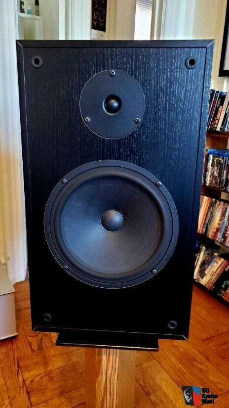 Audio Note AN K/D bookshelf speakers Photo #4283826 - US Audio Mart