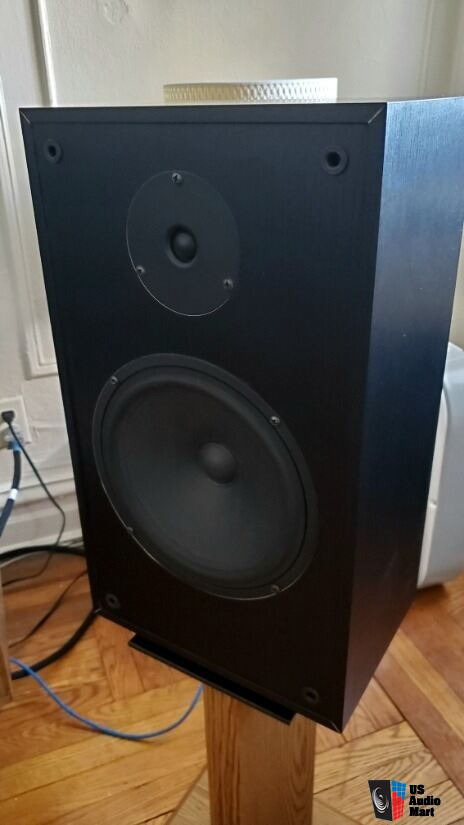 Audio Note AN K/D bookshelf speakers Photo #4283828 - US Audio Mart