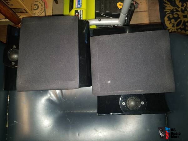 Vienna Acoustics Bach & Berg LOUDSPEAKERS Photo #4286675 - US Audio Mart