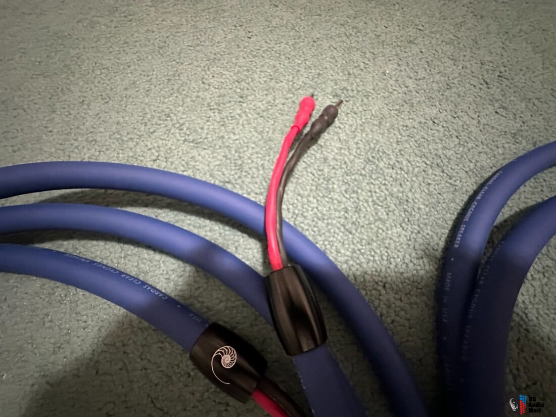 Cardas Clear Cygnus Speaker Cables 3M Bananas Photo #4290647 - US Audio ...