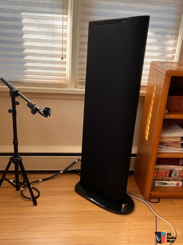 GoldenEar Triton Two Tower Speakers (Pair) - Excellent Condition Photo ...