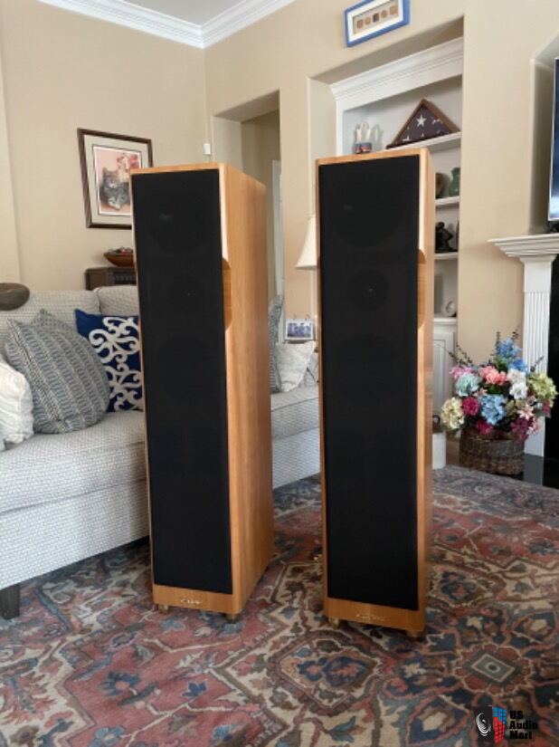Buggtussel Amygdala Loudspeakers; Exquisite Audiophile Speakers for the ...