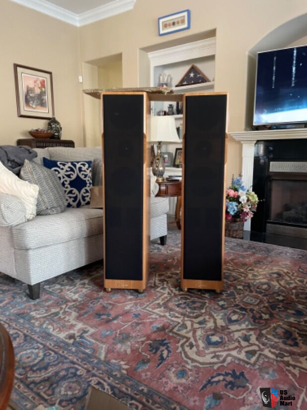 Buggtussel Amygdala Loudspeakers; Exquisite Audiophile Speakers for the ...