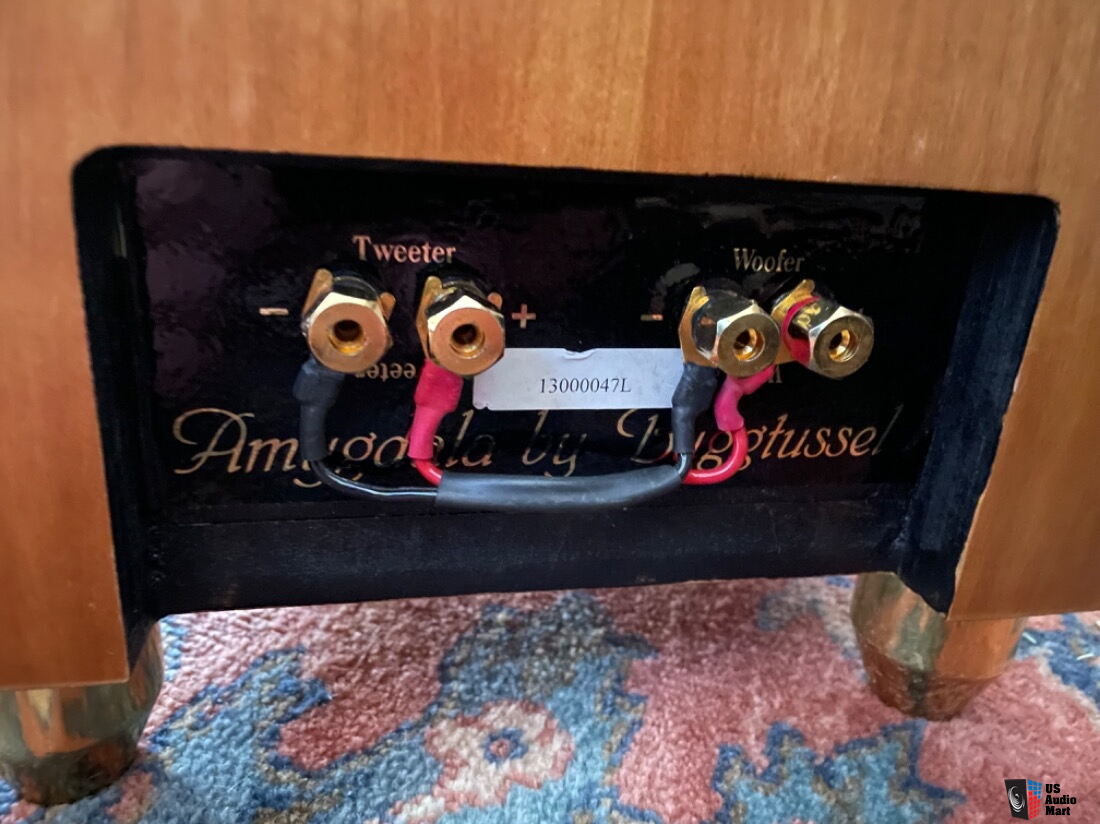 Buggtussel Amygdala Loudspeakers; Exquisite Audiophile Speakers for the ...
