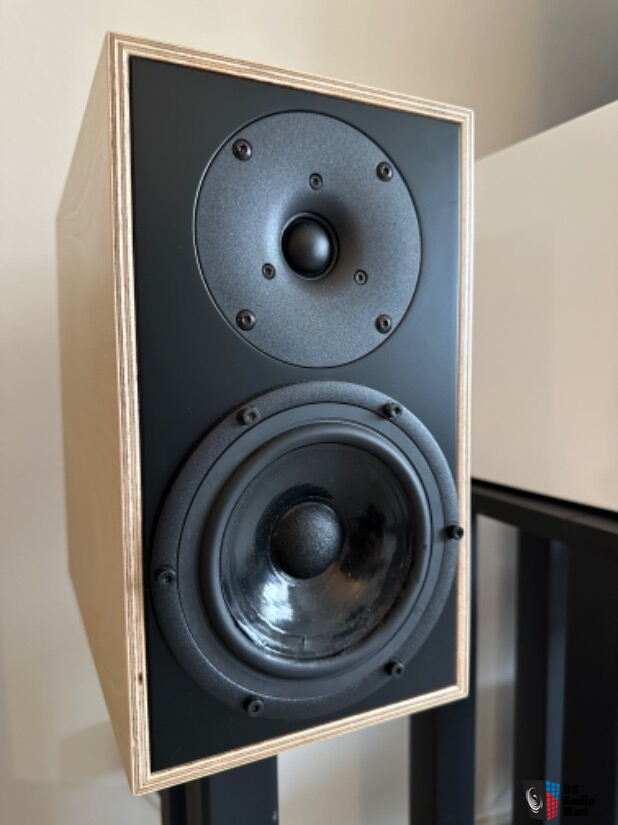 Penaudio Rebel 2 Monitors Photo #4315575 - US Audio Mart
