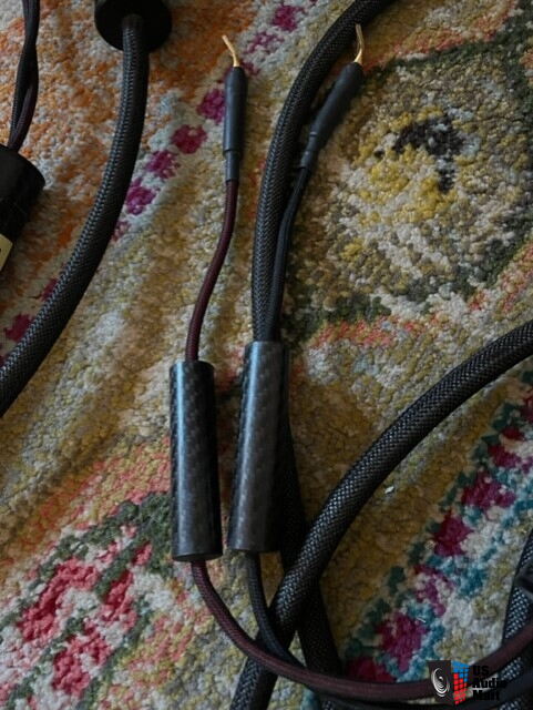 Bybee speaker cables with 10 Golden Goddess-RARE Photo #4318272 - US ...