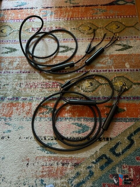 Bybee speaker cables with 10 Golden Goddess-RARE Photo #4318276 - US ...
