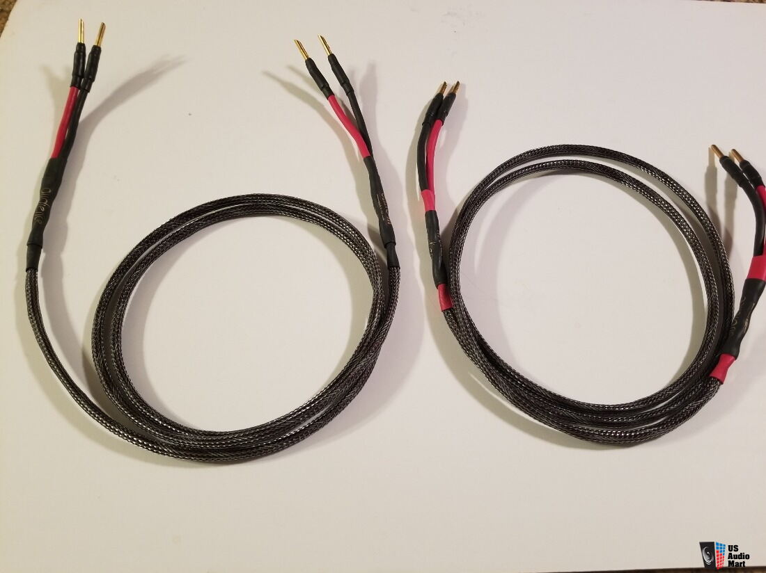 Audience ohno For Sale - US Audio Mart