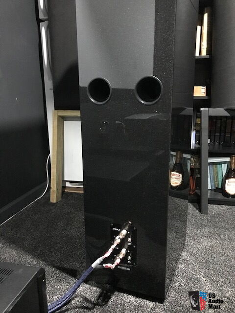 Legacy Focus SE Photo #4331225 - US Audio Mart