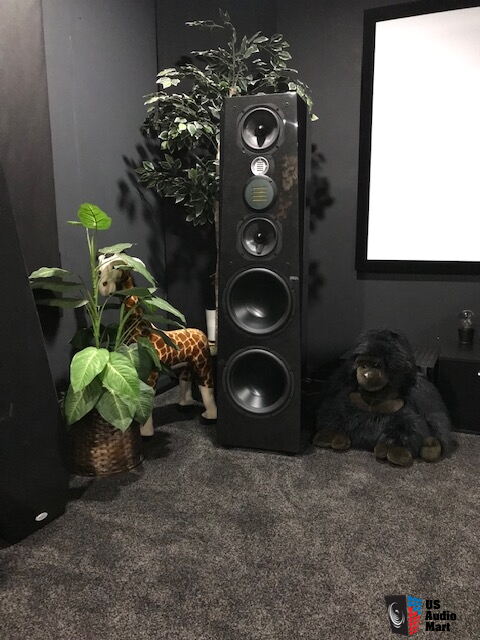 Legacy Focus SE Photo #4331225 - US Audio Mart