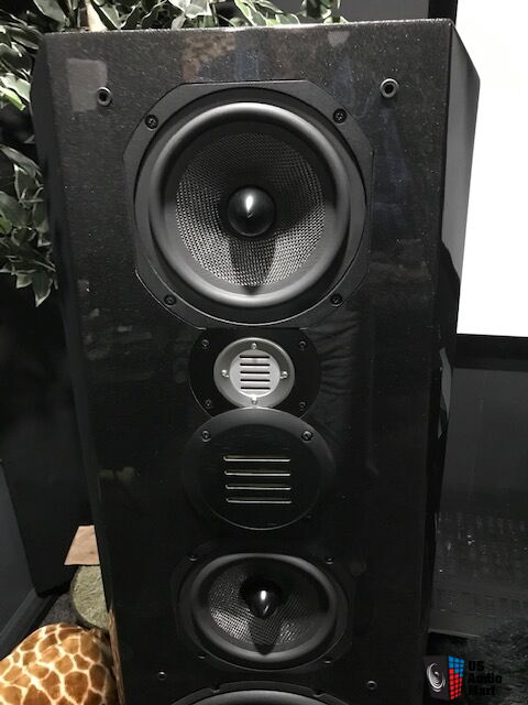 Legacy Focus SE Photo #4331230 - US Audio Mart