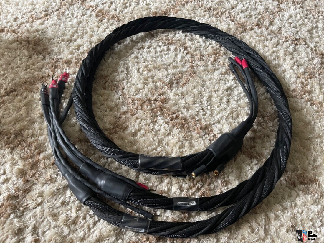 Synergistic Research CTS speaker cables. Bought new in 2021 Photo ...