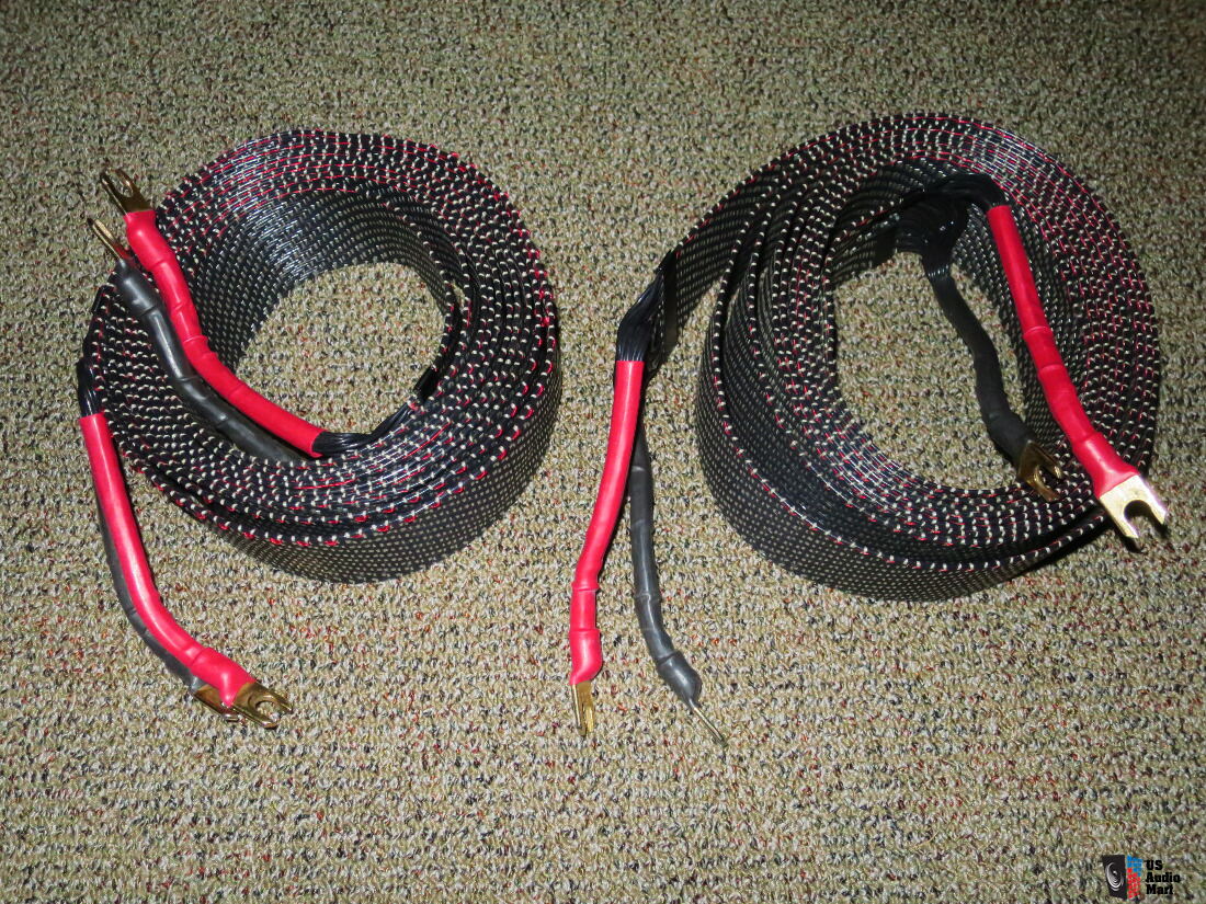 ULTRA RARE Threshold/Pass Labs/Weber Wire 14.10 FT speaker wire pair ...