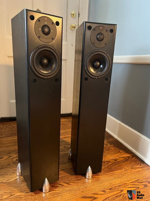 Totem Hawk speakers Audiophile Quality Made in Canada For Sale - US ...