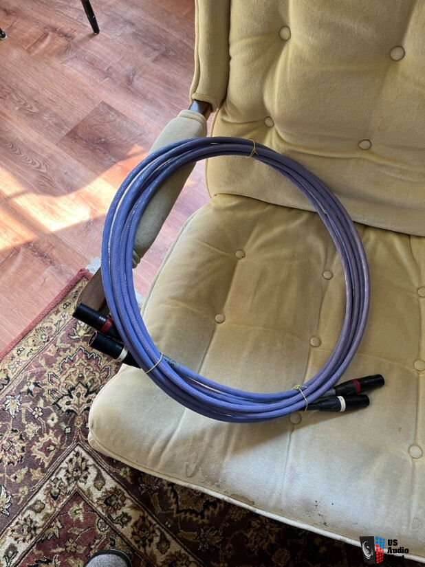 Iconoclast XLR Cables 13 FT Photo #4359749 - US Audio Mart