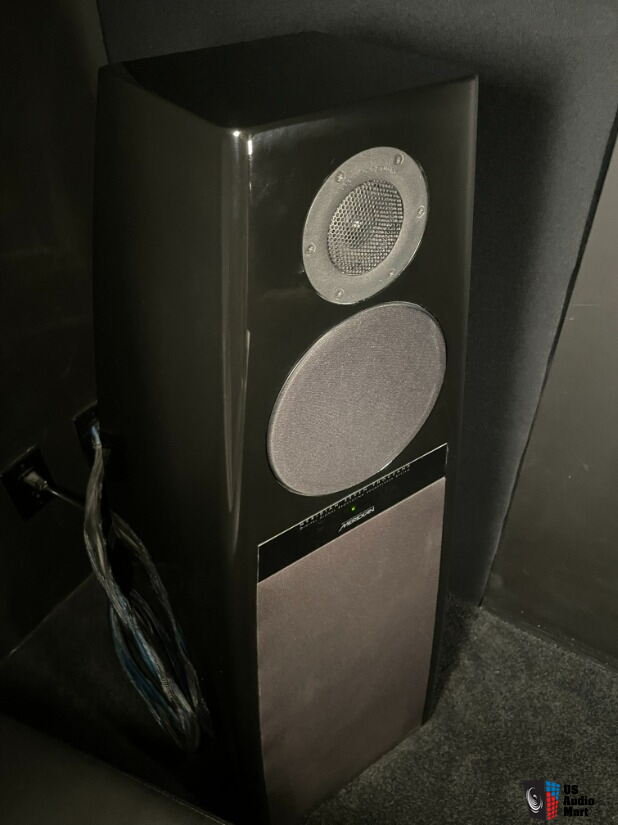 Meridian Audio DSP7000 (Pair) Photo #4362520 - US Audio Mart