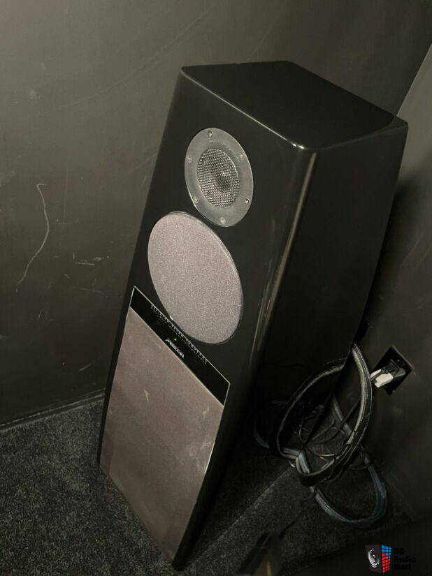Meridian Audio DSP7000 (Pair) Photo #4362524 - US Audio Mart