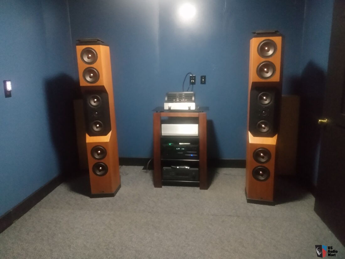 Tyler Acoustics D1 Photo #4365573 - US Audio Mart