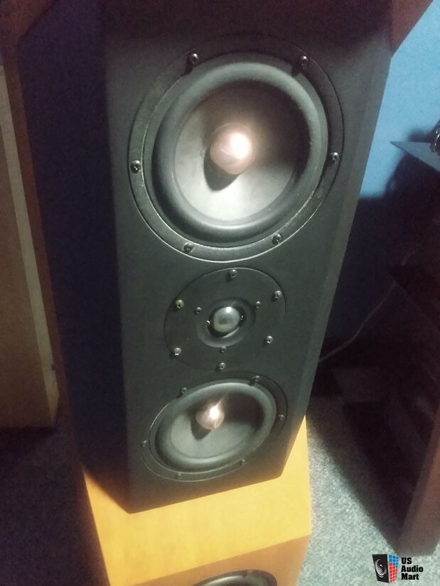 Tyler Acoustics D1 Photo #4365578 - US Audio Mart