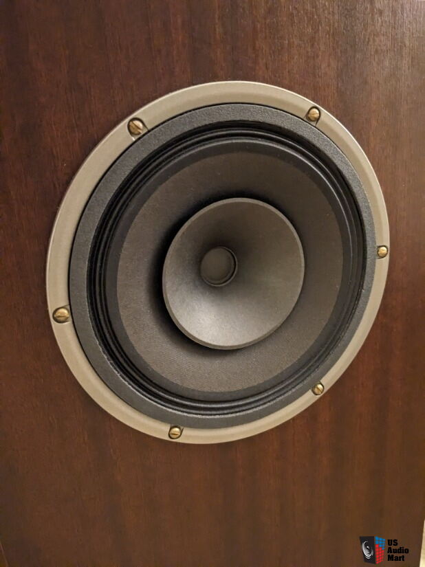 Omega tower speakers Photo #4369466 - US Audio Mart