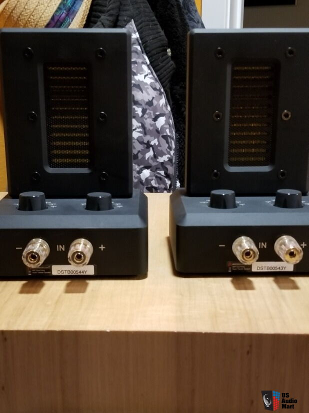 Aperion Audio AMT Dual Firing Supertweeter Photo #4371119 - US Audio Mart