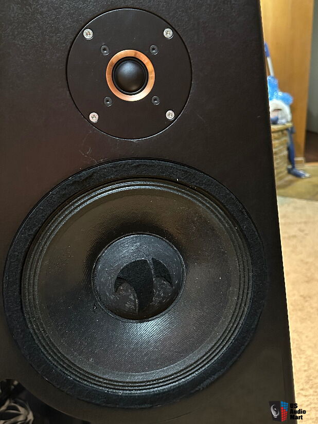 Talon Raven Speakers, Recent Khorus X-style crossover and tweeter ...