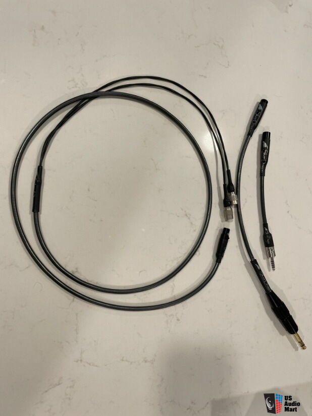 Moon Audio Silver Dragon Headphone Cable System Photo #4381678 - US ...