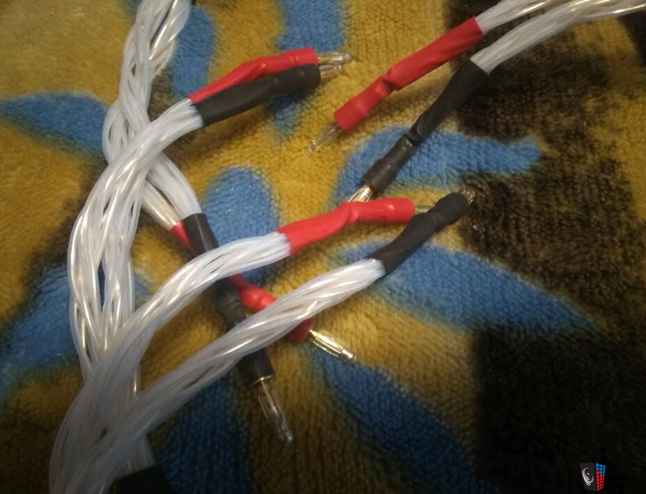 1 meter pair Artisan Silver Speaker cables Photo #4391806 - US Audio Mart