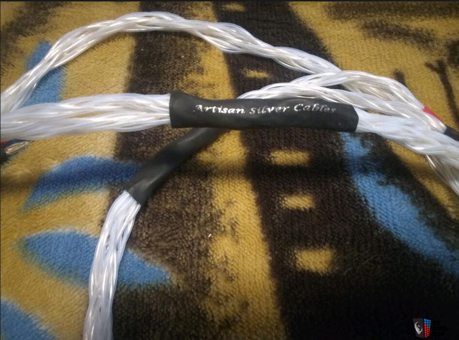 1 meter pair Artisan Silver Speaker cables Photo #4391808 - US Audio Mart