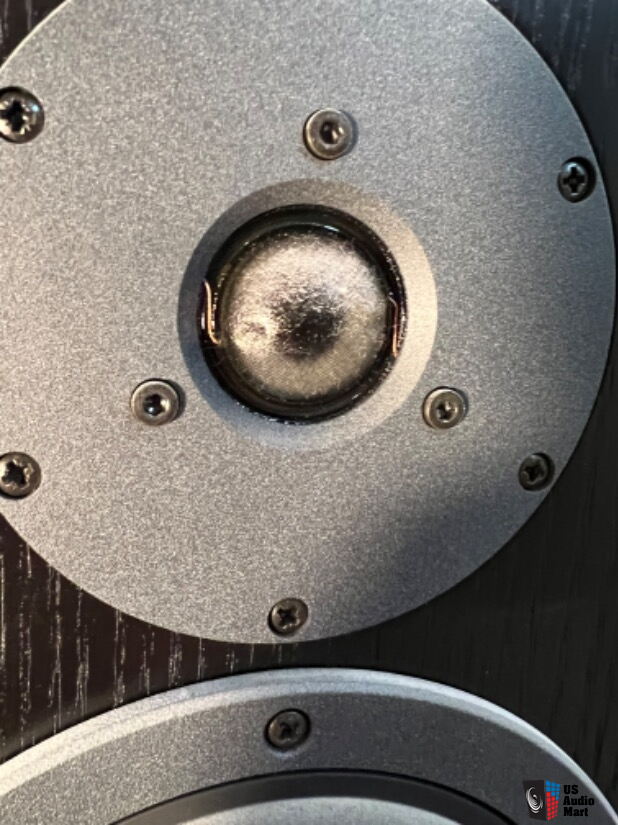 Dynaudio FOCUS 220 LOCAL PICK UP Photo #4395882 - US Audio Mart