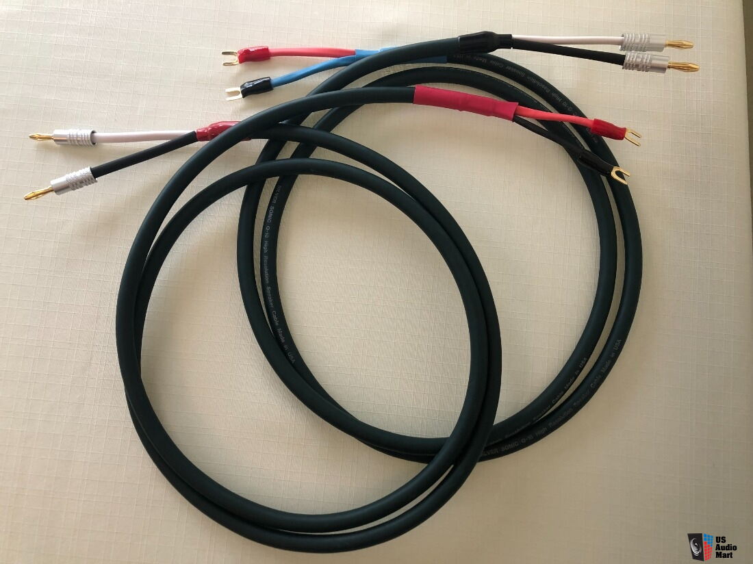 DH LABS Silver Sonic Q-10 Speaker Cables (6-ft. pair) With Spades ...