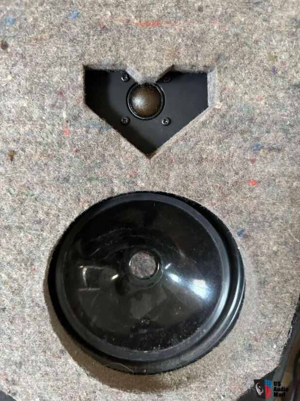 Spica Angelus Speakers (PLEASE READ) Photo #4402455 - US Audio Mart
