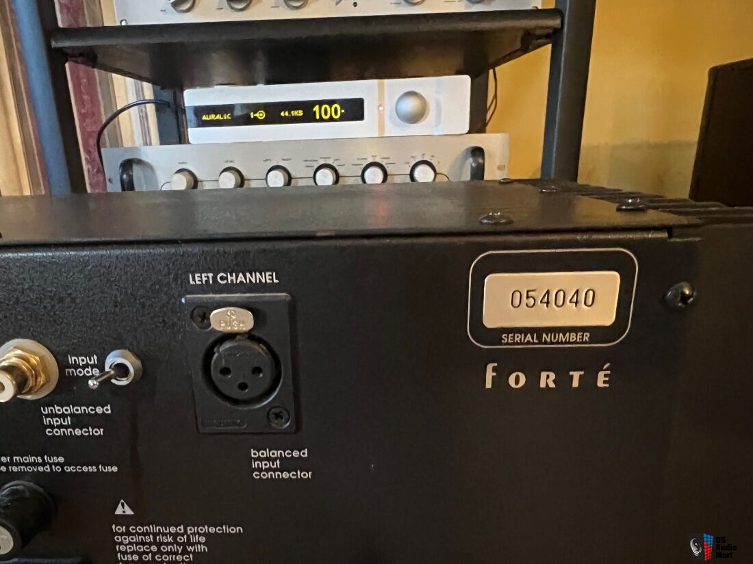 Forte Model 5 Power Amplifier Nelson Pass Photo #4404216 - UK Audio Mart