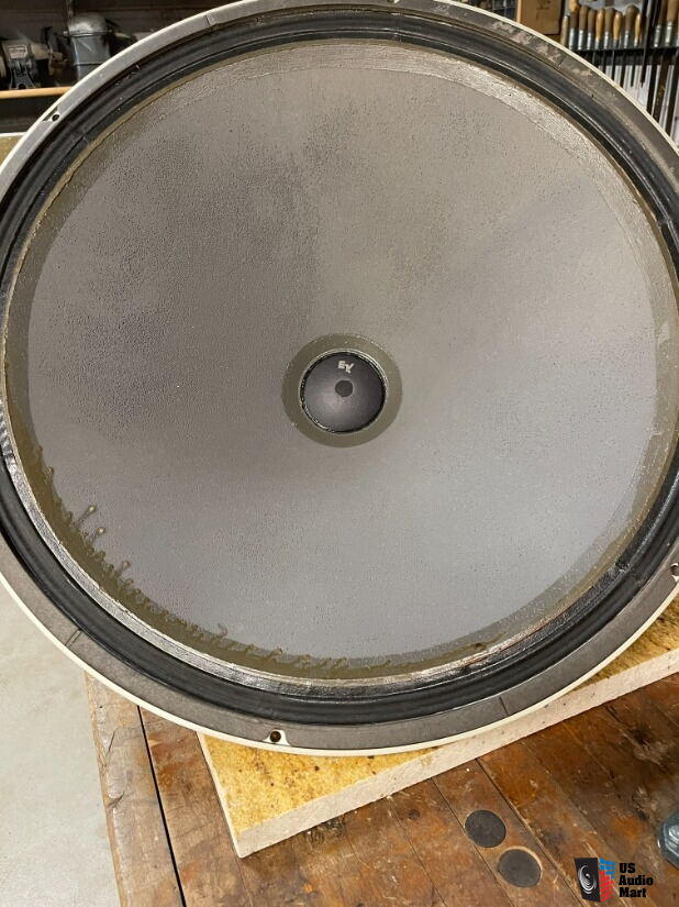 Electro Voice 30W Subwoofer Photo #4404298 - US Audio Mart
