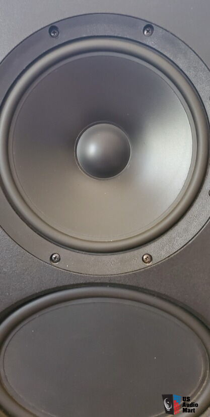 Thiel 2.2 Floor Standing Full Range Loudspeaker Photo #4374448 - UK ...