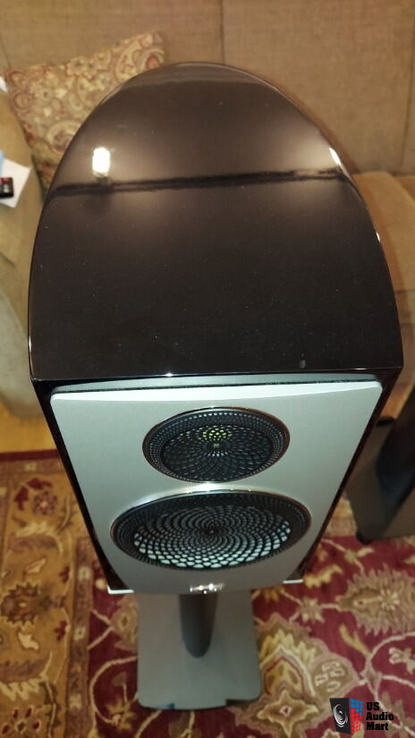 Paradigm PERSONA B Speakers With stands Photo #4415922 - US Audio Mart