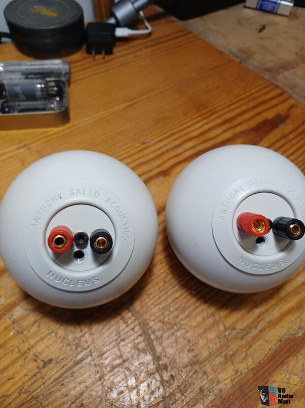 Gallo Acoustic Micro (pair, white) Photo #4422546 - Canuck Audio Mart