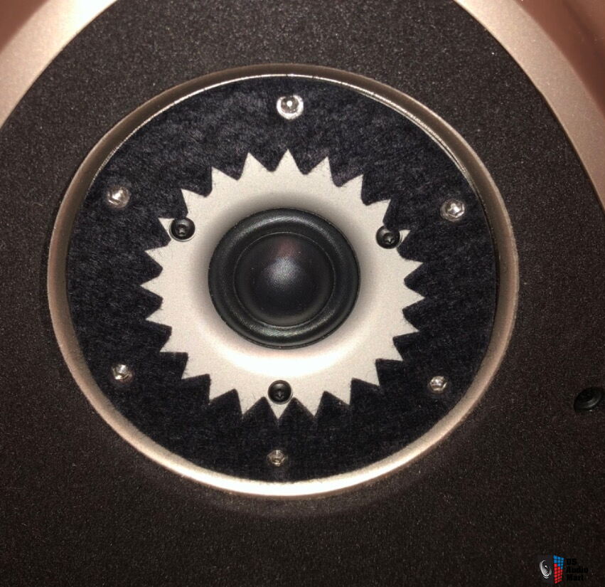 Wilson Audio Duette loudspeaker w/stands (new pics 4/13) Photo #4424451 ...
