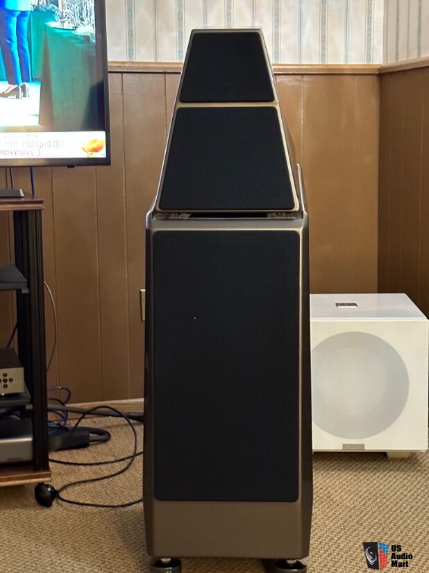 Wilson Sasha Daw Loudspeakers Price Drop Photo #4441036 - US Audio Mart