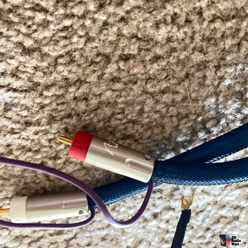 Audio Envy Phono Cable Photo #4442069 - US Audio Mart