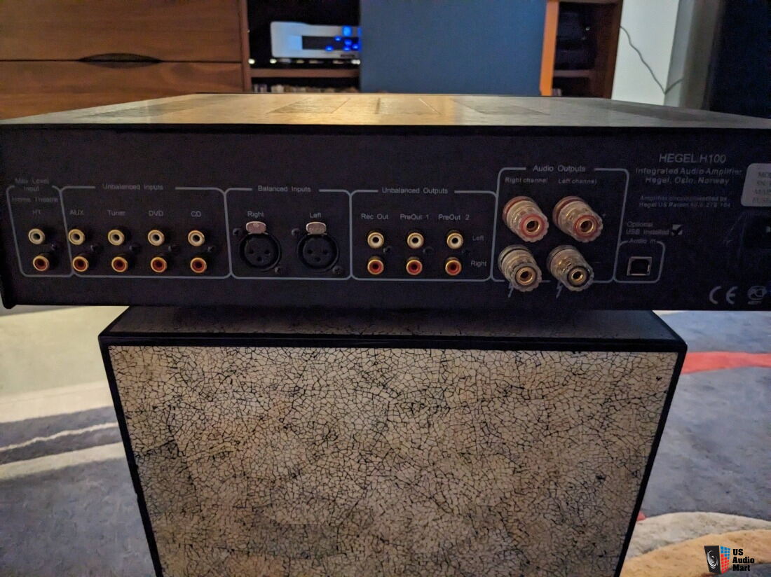Hegel H-100 Integrated Amplifier Photo #4447256 - US Audio Mart